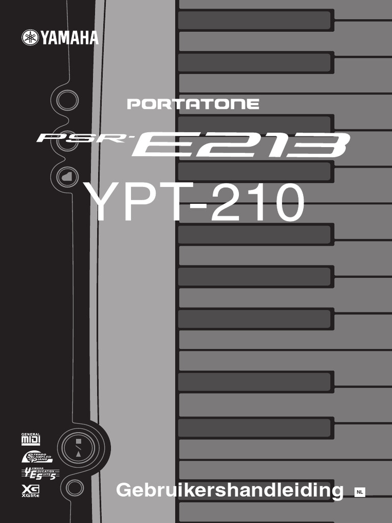 Yamaha E213 | PDF | Rechargeable Battery | Electrical Engineering