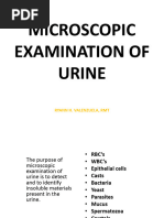 Table 1, The RoPE Score and PASCAL Classifications - Evaluating ...