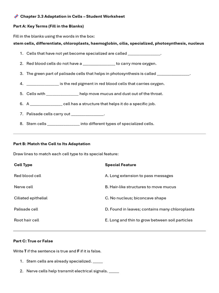 Ch3.3 Worksheet | PDF