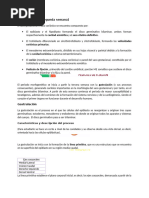 Desarrollo Del Saco Coriónico | PDF | Ciencia y matemáticas