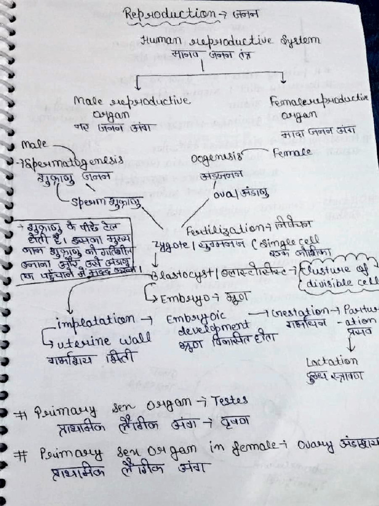 Reproduction System | PDF