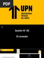 Función y Ubicación del Plexo Cardíaco | PDF