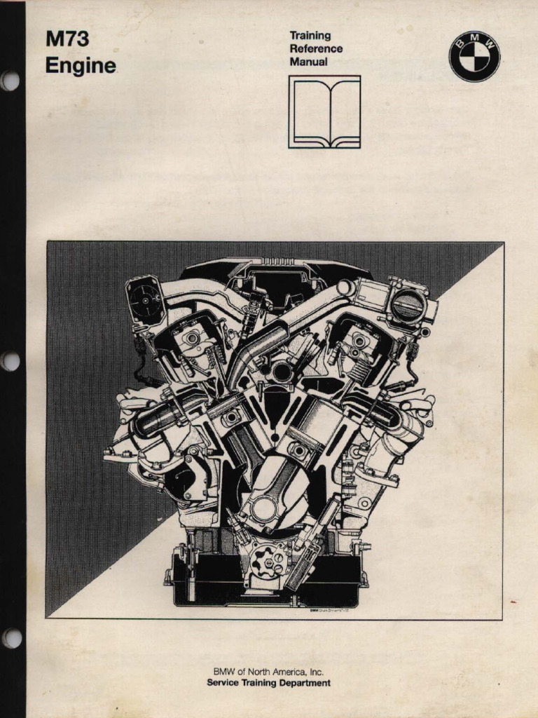 BMW M73 Training Manual | PDF