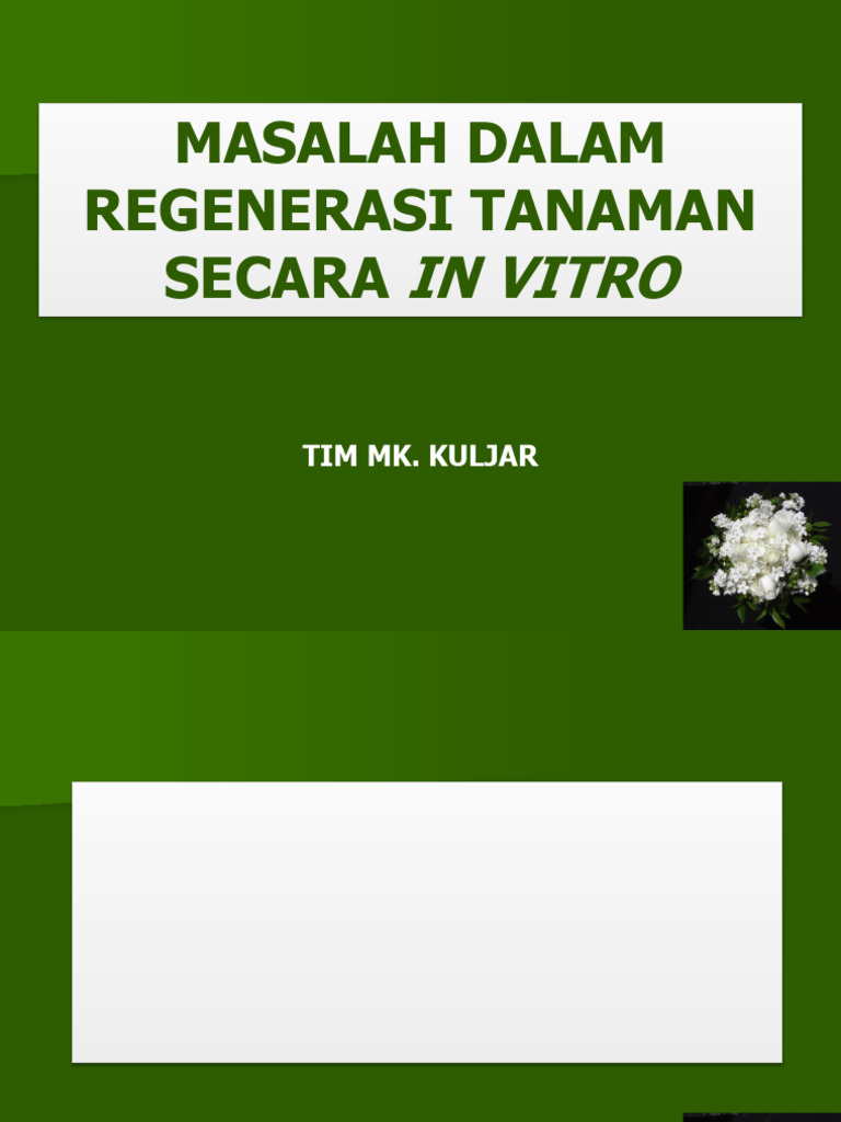 MASALAH Dalam Regenerasi Tanaman Secara in Vitro-L12 | PDF