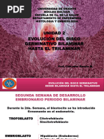 Disco Germinativo Bilaminar | PDF | Embrión | Especialidades Medicas