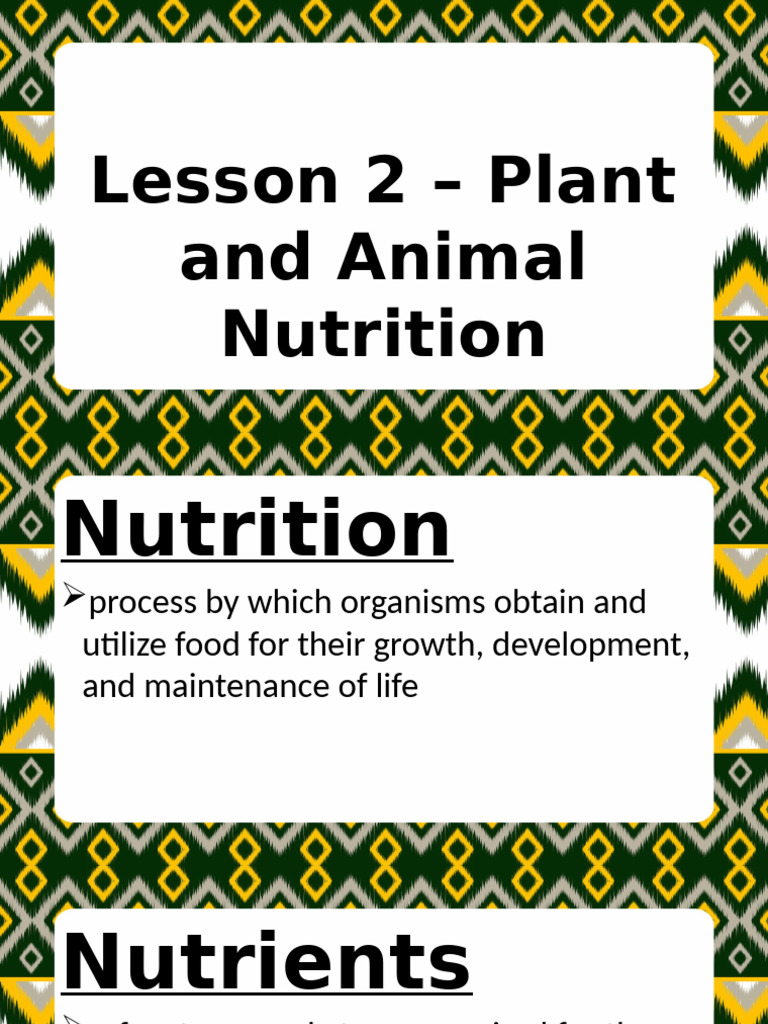 Lesson 2 - Plant and Animal Nutrition | PDF | Digestion | Plant Nutrition