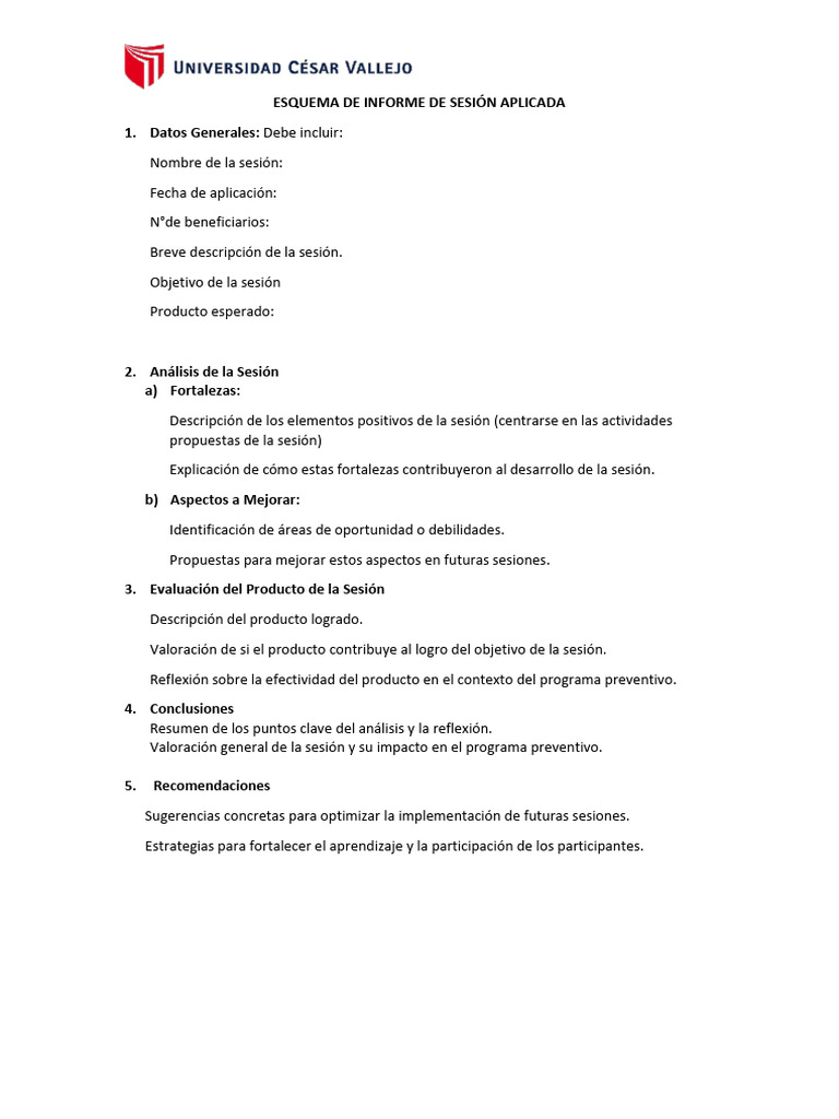 Esquema de Informe de Sesión Aplicada | PDF