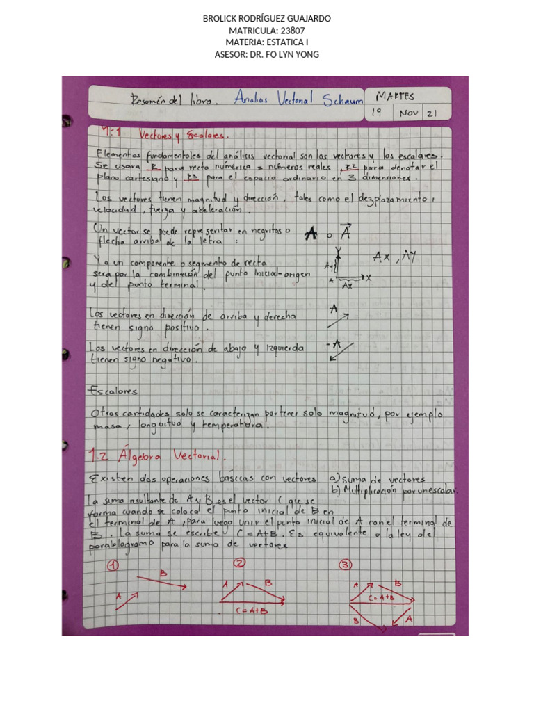 Resumen y Problemas Del Libro de Schaum | PDF