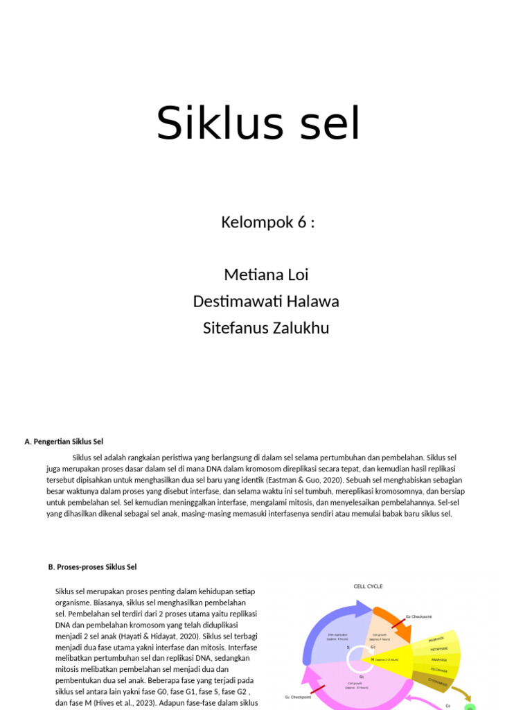 Siklus Sel | PDF