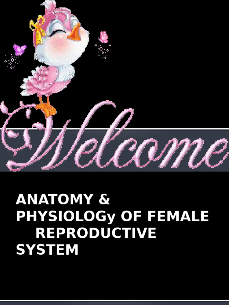 Anatomy & Physiology of Female Reproductive System Final | PDF | Ovary ...
