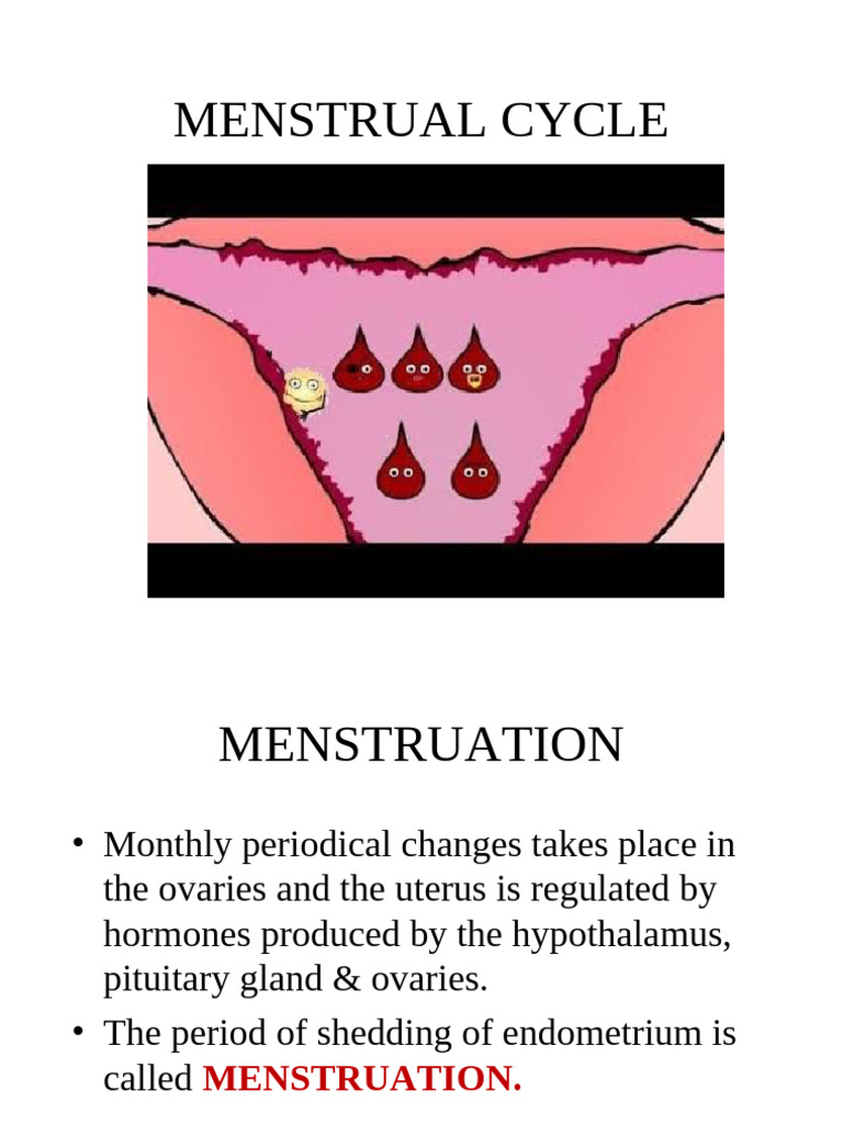5. Menstrual Cycle Final PPT | PDF | Menstrual Cycle | Ovary