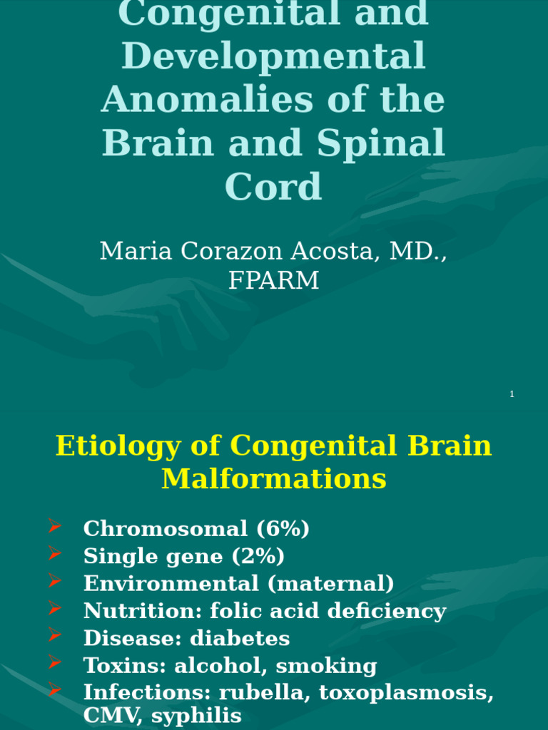 Congenital and Developmental Anomalies of The Brain and | PDF | Medical ...