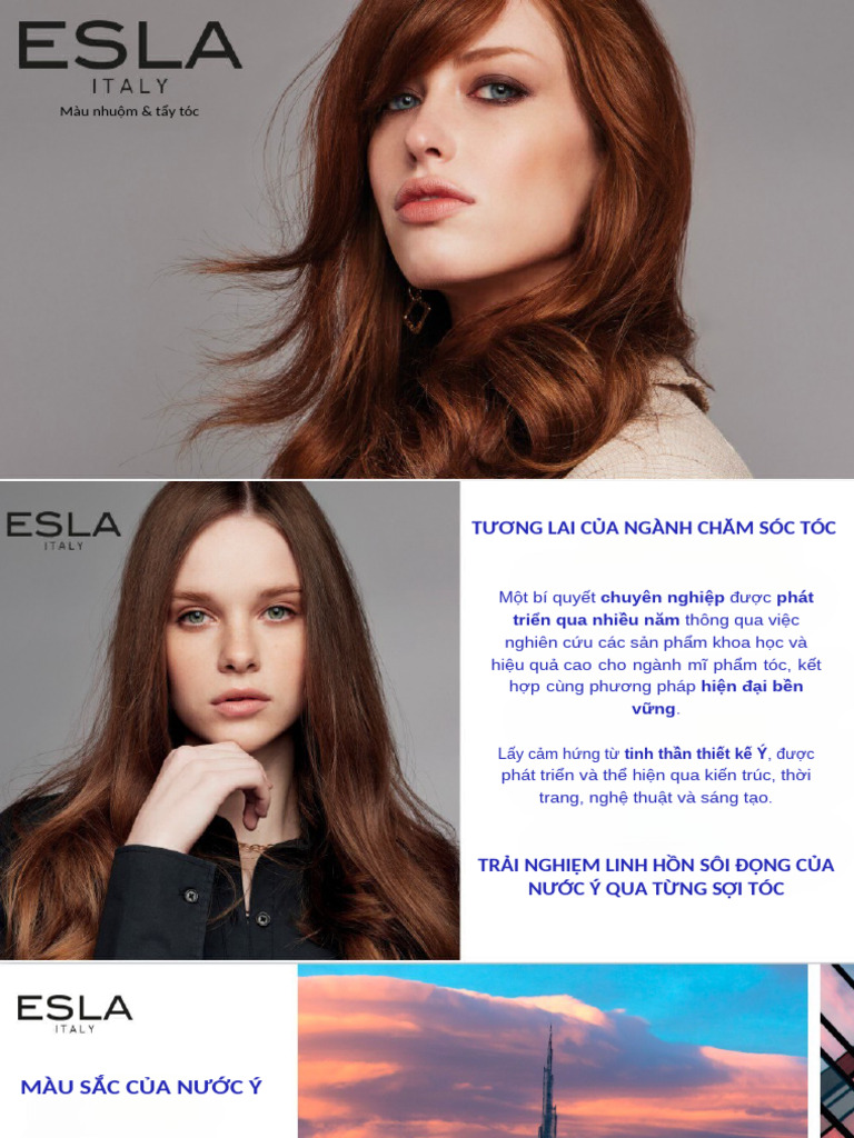 Màu Nhu M Esla | PDF