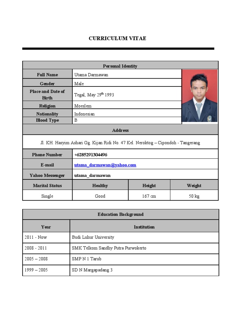 Curriculum Vitae | PDF