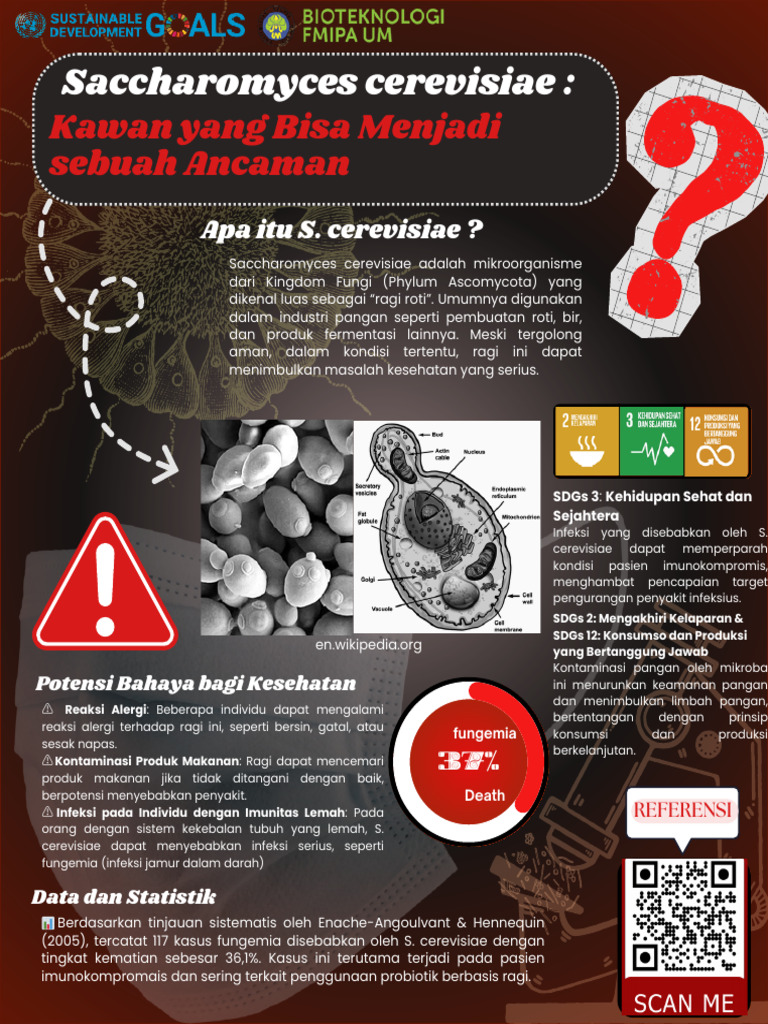 Progress INFOGRAFIS Saccharomyces Cerevisiae | PDF