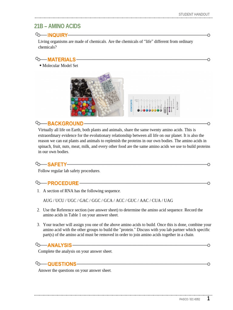 21B_Amino_Acids | PDF