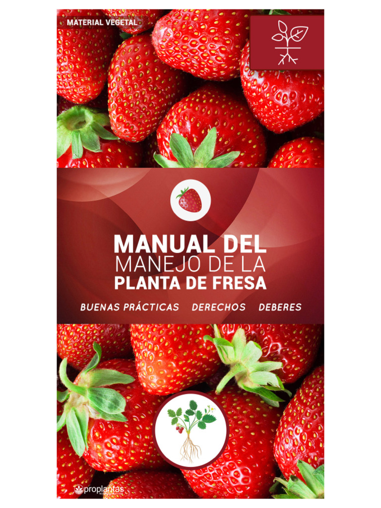 Manual Manejo de La Planta de Fresa | PDF