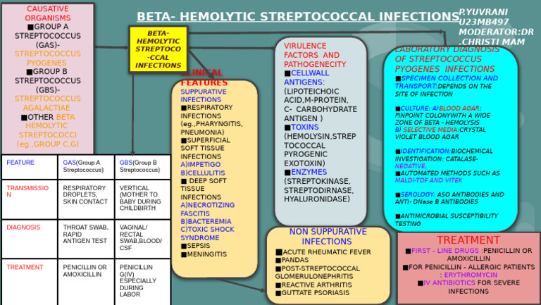 Beta - Hemolytic Streptoccoal Infections - Concept Mapping | PDF ...
