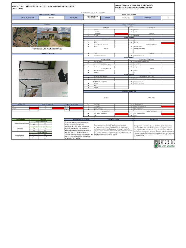 Ficha de Patología 1-10 | PDF | Agua | Corrosión