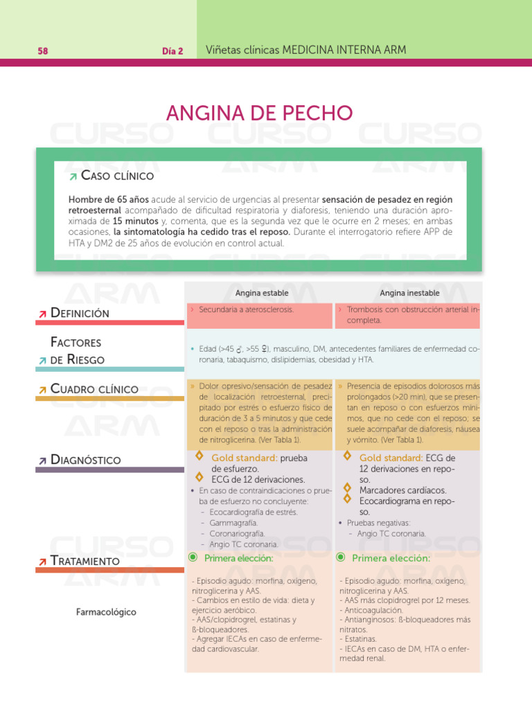 Angina de Pecho | PDF | Enfermedades y trastornos | Medicina CLINICA