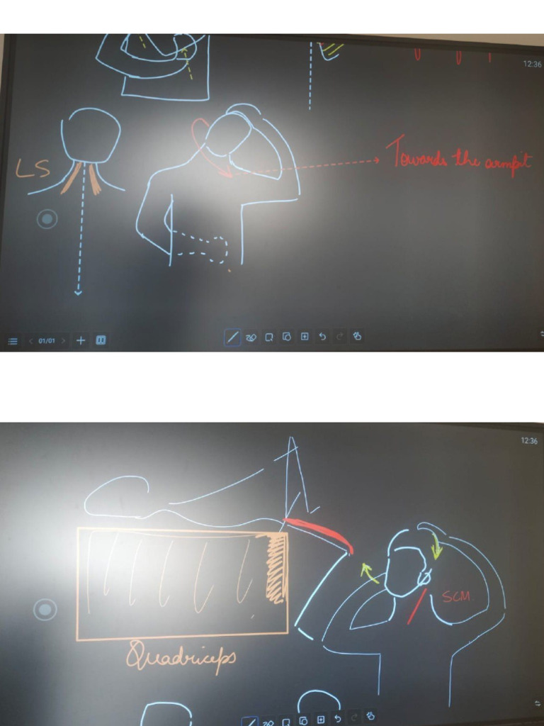 Stretching Diagram | PDF
