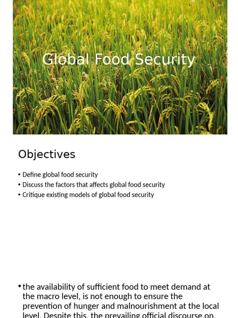 Understanding Global Food Security Challenges | PDF | Food Security ...