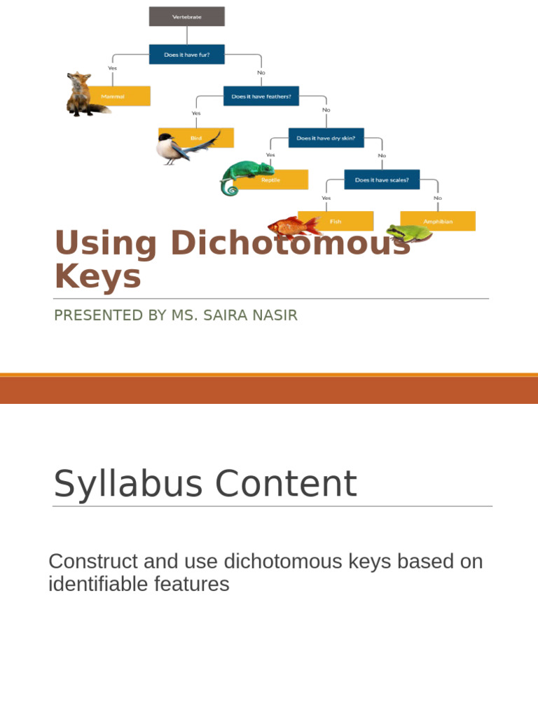 Dichotomous Key | PDF