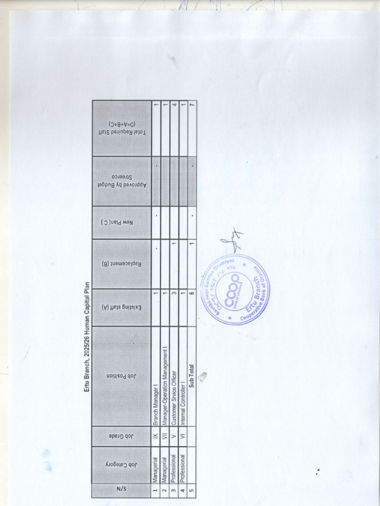 Ertu Branch Human Capital Plan | PDF