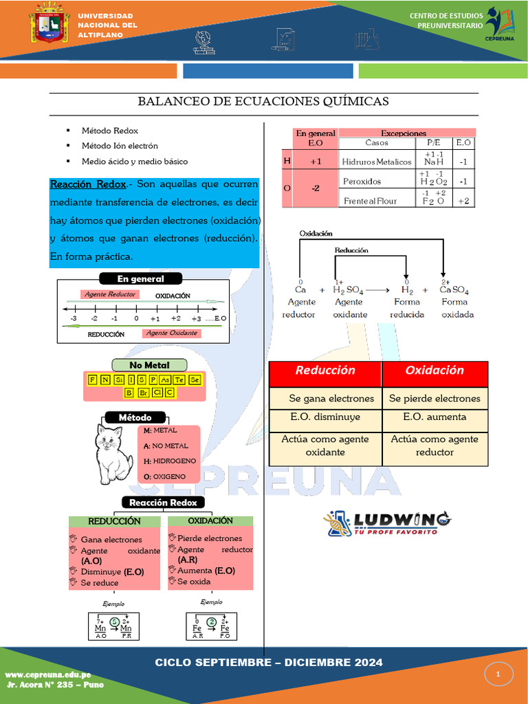 SEM9 Balanceo de ecuaciones químicas | PDF | Redox | Química Física