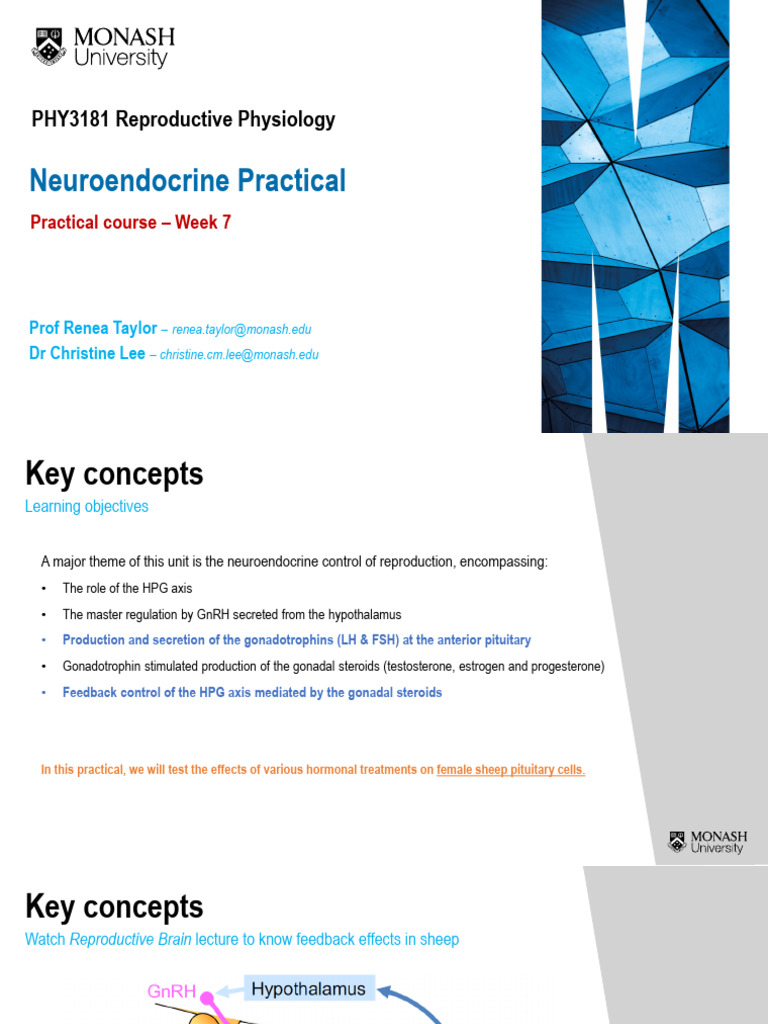 A4 Neuroendocrine Practical Slides (Week 7) | PDF | Gonadotropin | Endocrinology