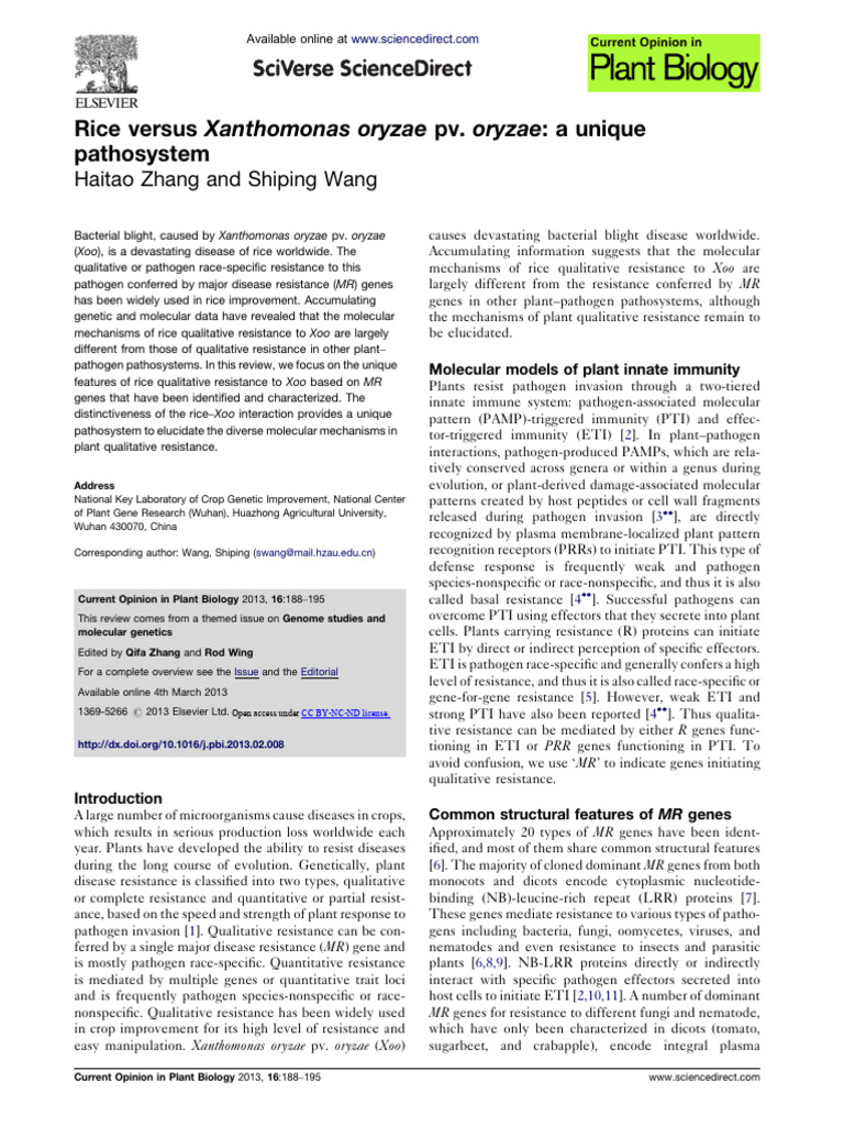 Rice Resistance to Xanthomonas Oryzae Explained | PDF | Gene Expression ...