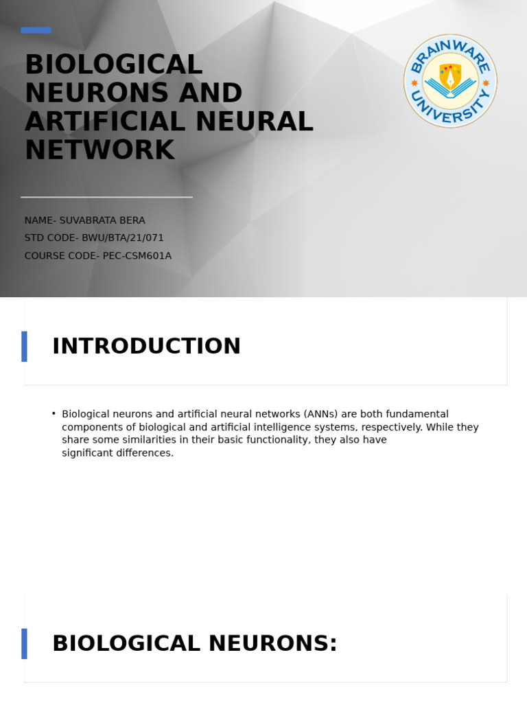 Soft Computing PPT 071 | PDF | Neuron | Nervous System