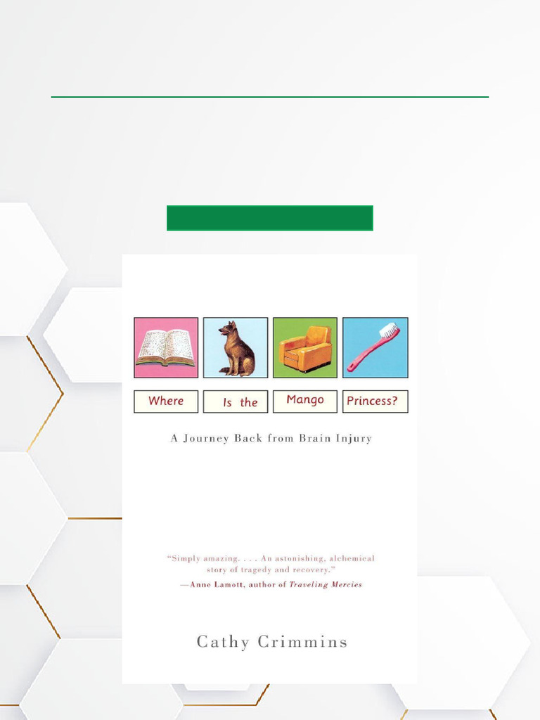 Where Is the Mango Princess? A Journey Back From Brain Injury Full ...