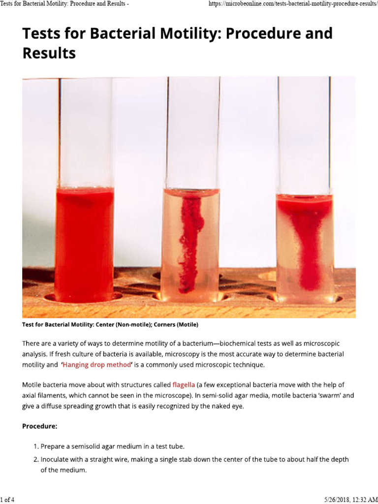 Bacteria Motlity | PDF
