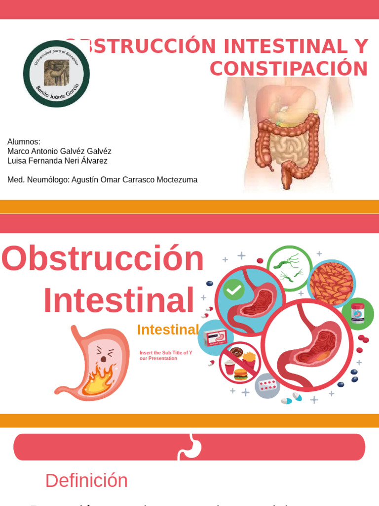 Obstruccion Intestinal y Constipación Intestinal | PDF | Estreñimiento ...