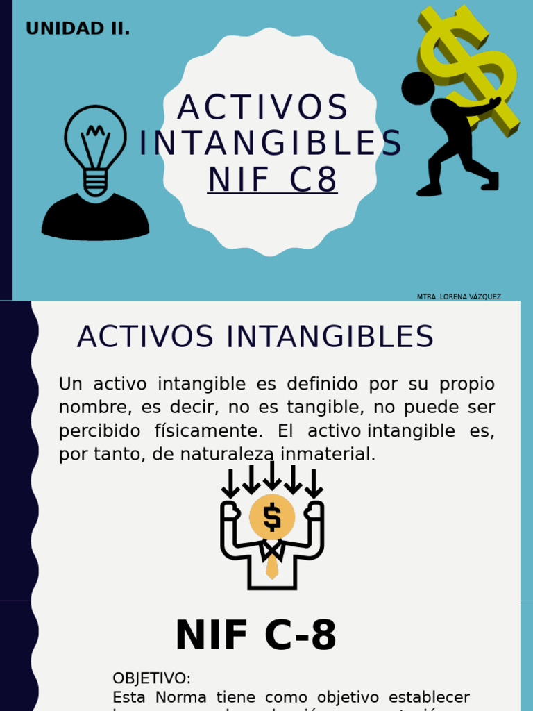 NIF C-8 INTANGIBLES | PDF