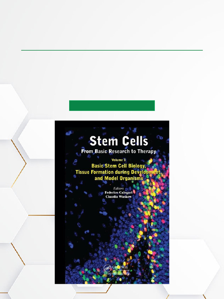 Stem Cells From Basic Research To Therapy, Volume 1 Basic Stem Cell ...