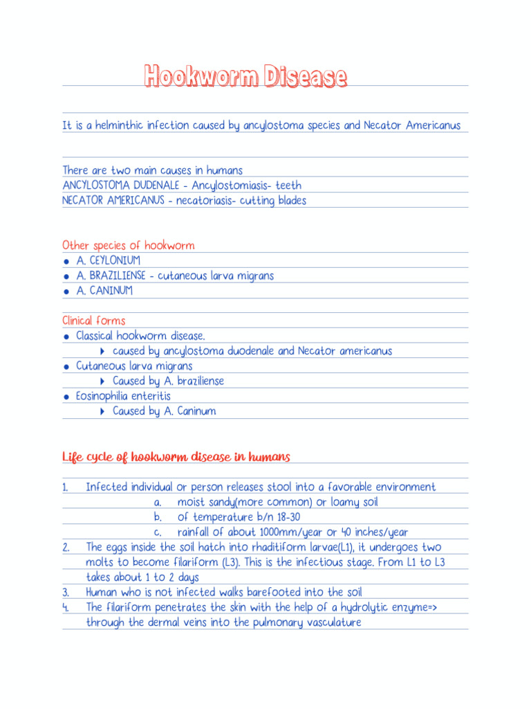 Hookworm Disease and Cutaneous Larvae Migrans | PDF | Medical Specialties | Diseases And Disorders