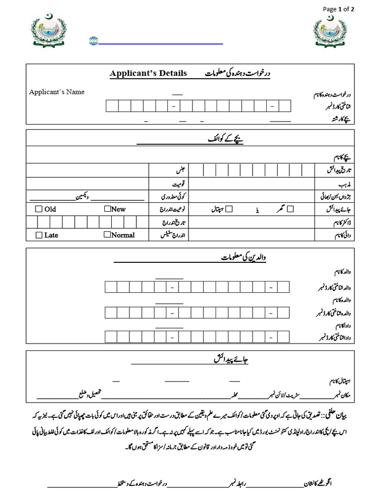 Birth Form PDF | PDF