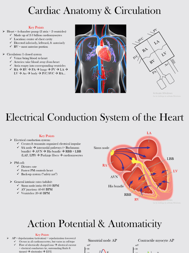 ECG Basics | PDF