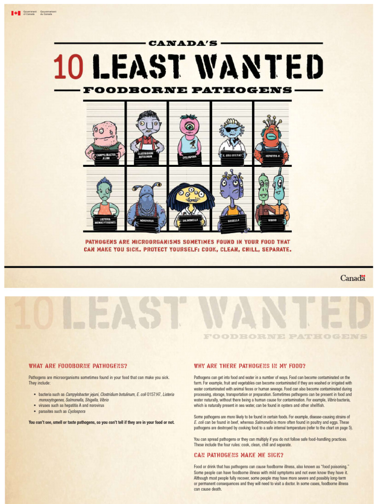 Canada's Top 10 Foodborne Pathogens | PDF | Foodborne Illness ...