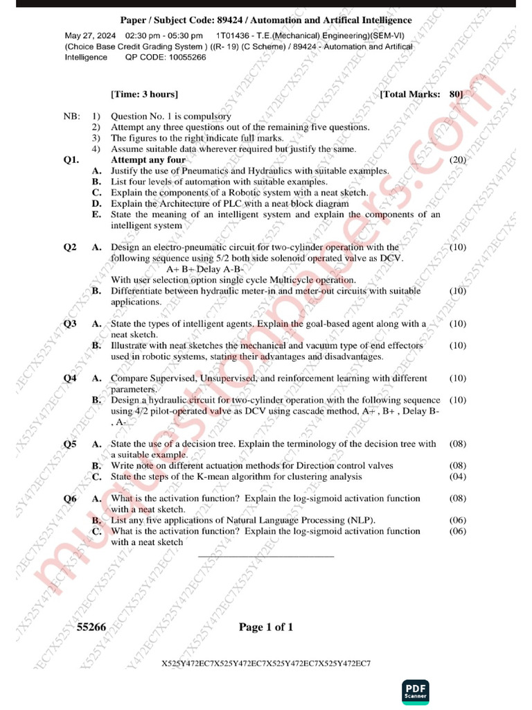 AAi Pyq | PDF