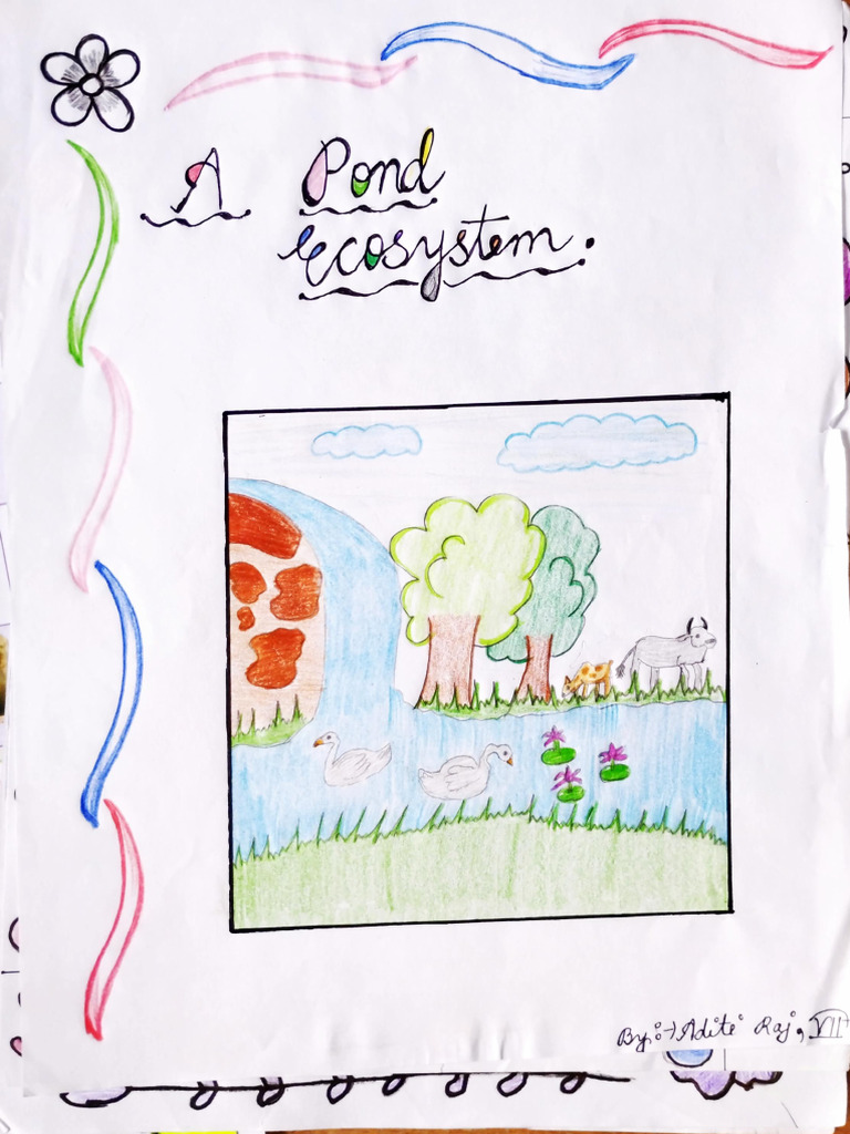 SST Project Format (Class VII) | PDF