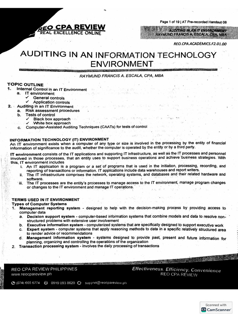 At Category 08 Auditing in An IT Environment | PDF
