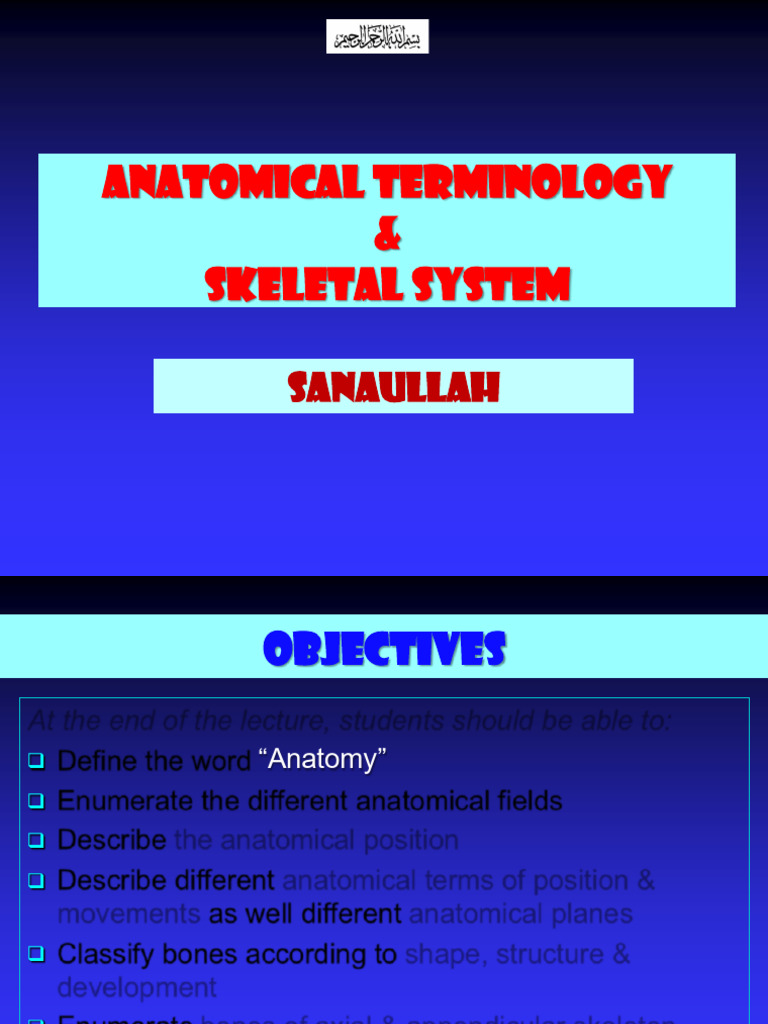 1 - Anatomical Terminology & Skeletal System | PDF | Anatomical Terms ...
