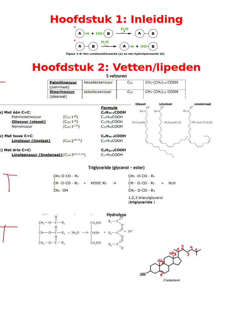 Overzict Molecullen | PDF