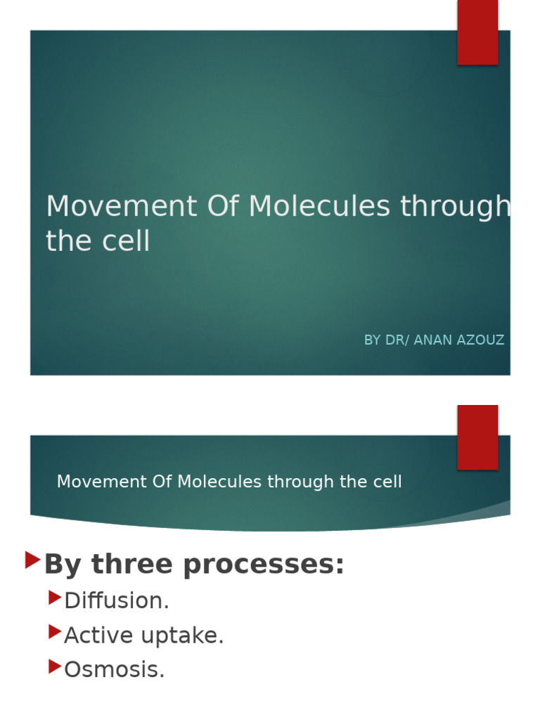 Topic 3a - Diffusion & Active Uptake | PDF | Diffusion | Cell Membrane