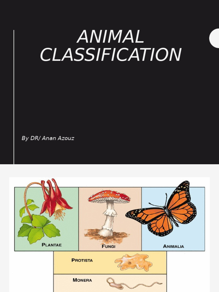 Topic 1b - Animal Classification | PDF | Skin | Zoology