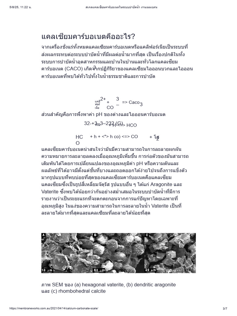 Calcium Carbonate Scale in Water Treatment Systems - Membrane Works1 | PDF