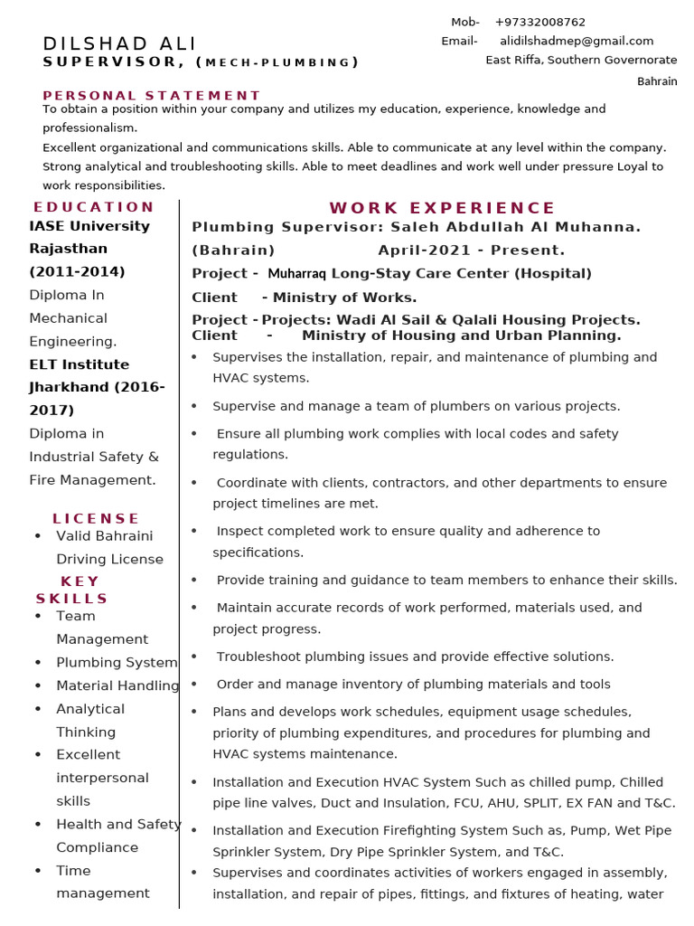 Dilshad Ali CV | PDF | Plumbing | Pipe (Fluid Conveyance)